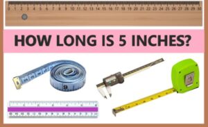 10 Common things that are about 5 inches long
