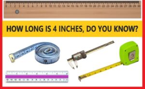15 Common Things That Are 4 Inches Long - Measurement Quest