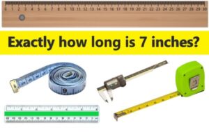 12 Common things that are 7 Inches long - Measurement Quest