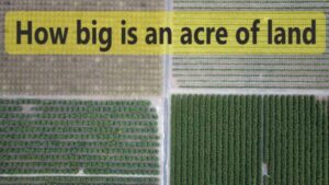 How big is an acre of land in feet & miles - Measurement Quest