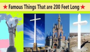 11 Famous things that are 200 feet long - Measurement Quest